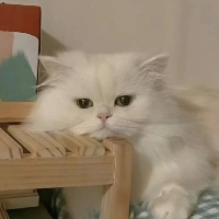 全栈管理系统：Node.js + Express + MySQL + React + Antd-腾讯云开发者社区-腾讯云