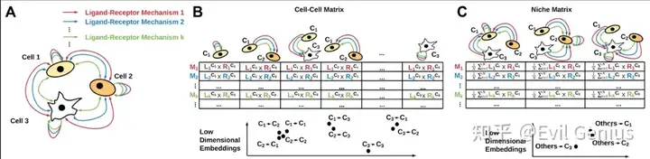 10X空间转录组NEural network on Spatial Transcriptomics-腾讯云开发者社区-腾讯云