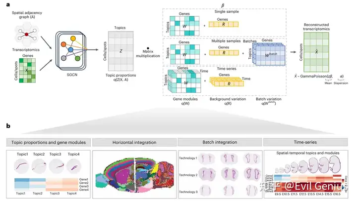 方法迭代----基于STAMP的空间转录组学可解释的空间aware降维（Stereo-seq）-腾讯云开发者社区-腾讯云