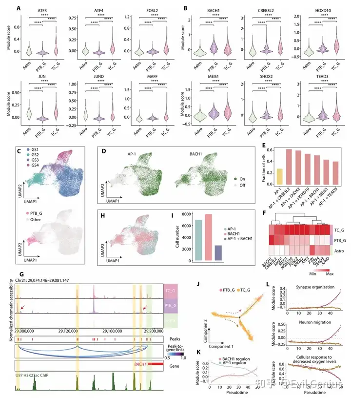 文献分享----单细胞多组学（snRNA + snATAC）揭示胶质母细胞瘤的区域特异性可塑性-腾讯云开发者社区-腾讯云