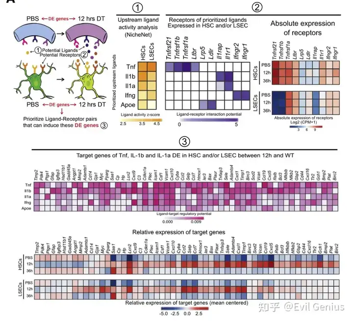 空间邻域通讯分析大汇总-腾讯云开发者社区-腾讯云