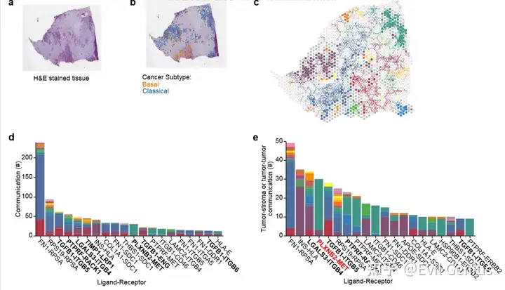 10X空间转录组NEural network on Spatial Transcriptomics-腾讯云开发者社区-腾讯云