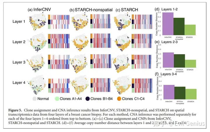 课程补充---空间转录组结合邻域的CNV检测-腾讯云开发者社区-腾讯云