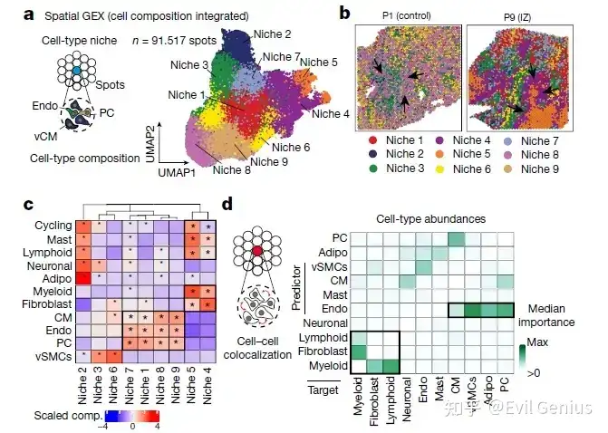 空间转录组分析之细胞Niche（python）版本-腾讯云开发者社区-腾讯云