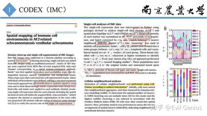 第26课PPT--CODEX（IMC、mIHC）基础分析梳理-腾讯云开发者社区-腾讯云