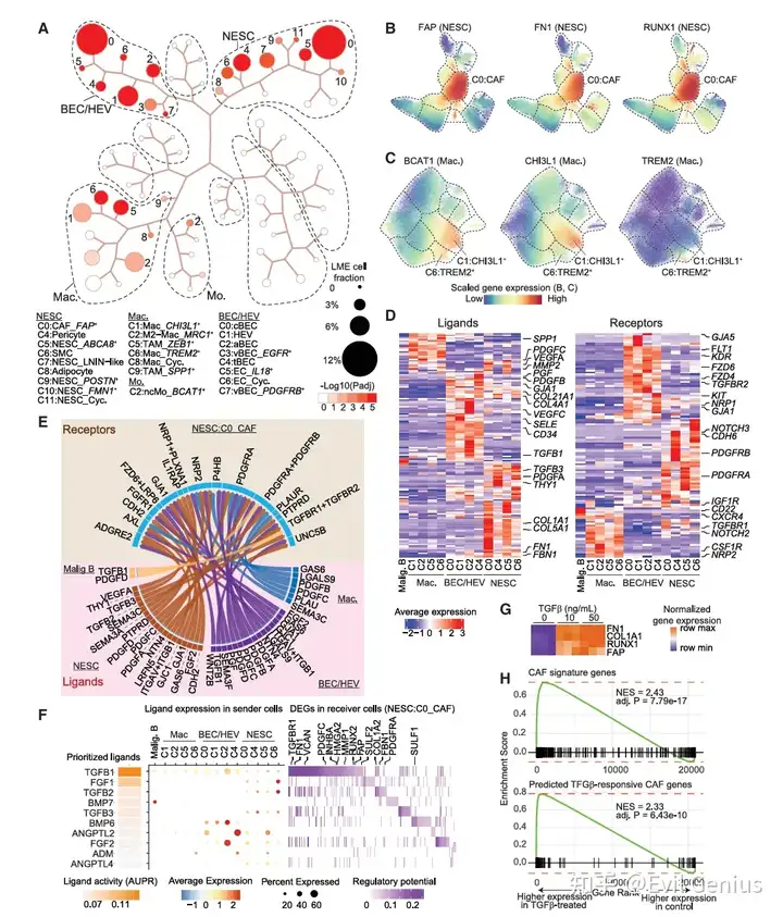 文献分享--大B细胞淋巴瘤微环境archetype profiles-腾讯云开发者社区-腾讯云