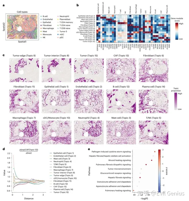 方法迭代----基于STAMP的空间转录组学可解释的空间aware降维（Stereo-seq）-腾讯云开发者社区-腾讯云