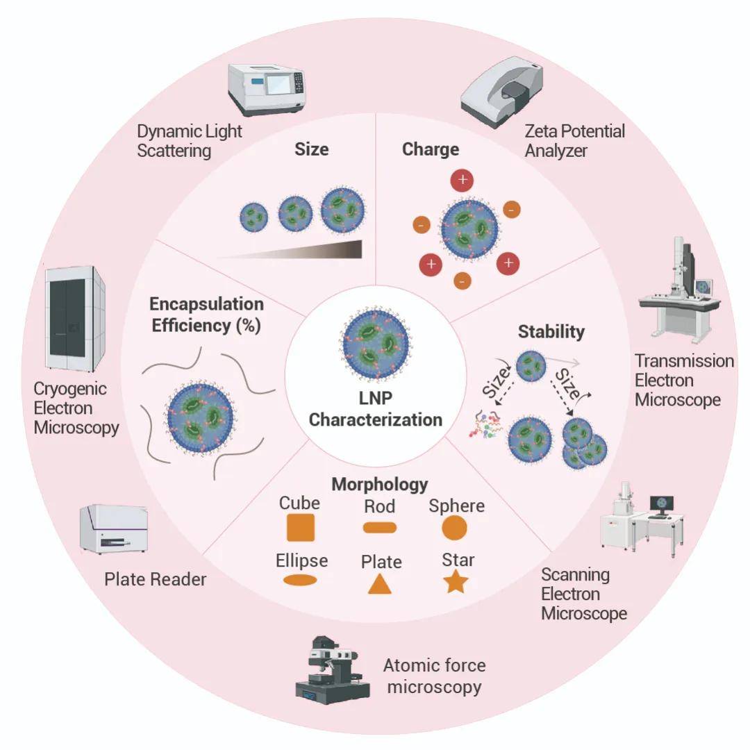 Nature 常客？一文弄懂 LNP，内附制备 Protocol | MCE-腾讯云开发者社区-腾讯云