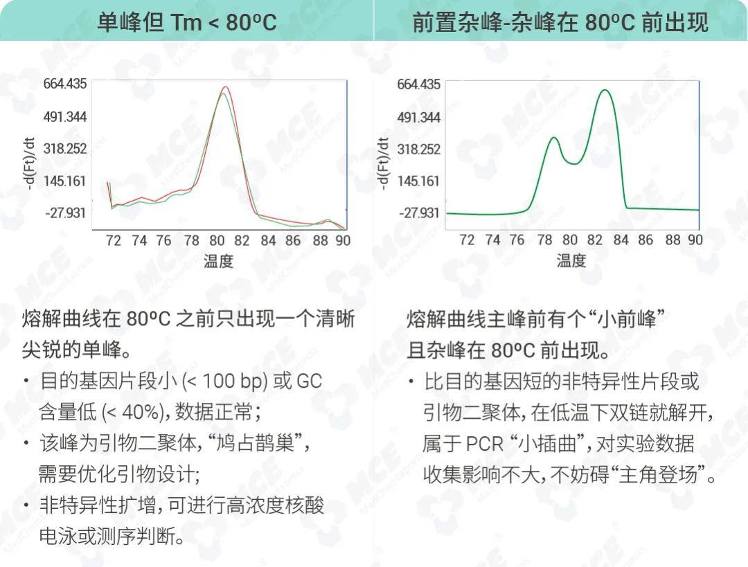 熔解曲线与 Ct 值：评价 qPCR 实验是否成功的“隐形英雄”？ | MCE-腾讯云开发者社区-腾讯云