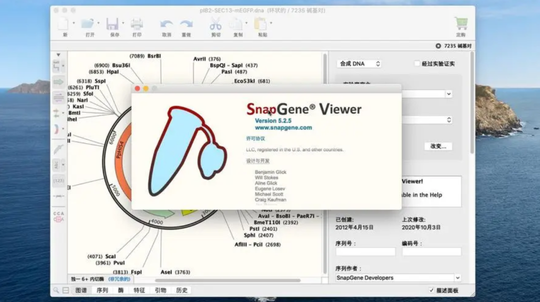 SnapGene软件下载安装，分子生物学分析SnapGene软件特色功能介绍-腾讯云开发者社区-腾讯云