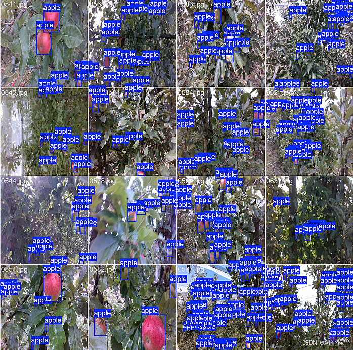 智慧农业：基于YOLO11的苹果小目标检测系统（Python源码+数据集+Pyside6界面）-腾讯云开发者社区-腾讯云