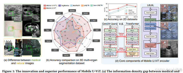 YOLO11优化： 引入了一种新颖的大核局部-全局-局部（LGL）模块，有效平衡图像信息低与高层语义差异大的问题 | ACM MM‘25-腾讯云开发者社区-腾讯云