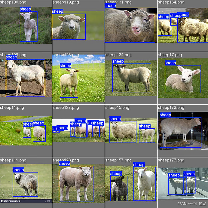 基于YOLO11的绵羊（Sheep ）检测系统（Python源码+数据集+Pyside6界面）-腾讯云开发者社区-腾讯云