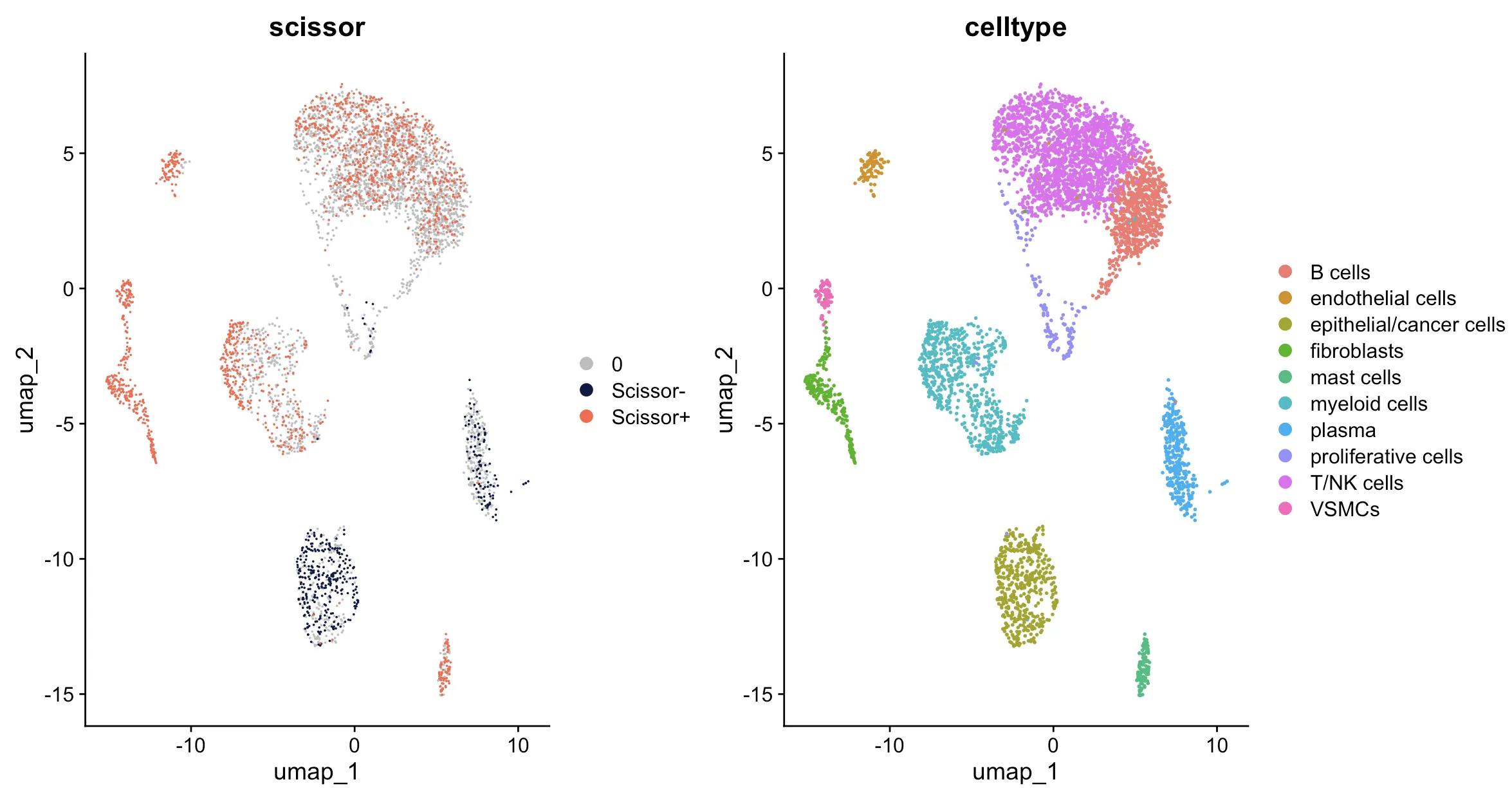 单细胞实战之Scissor和BayesPrism映射——入门到进阶(初级篇4）-腾讯云开发者社区-腾讯云