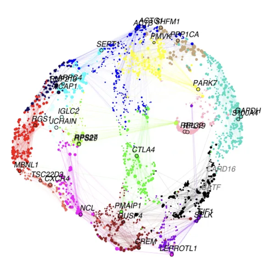 单细胞实战之单细胞hdWGCNA分析——入门到进阶(高级篇3）-腾讯云开发者社区-腾讯云
