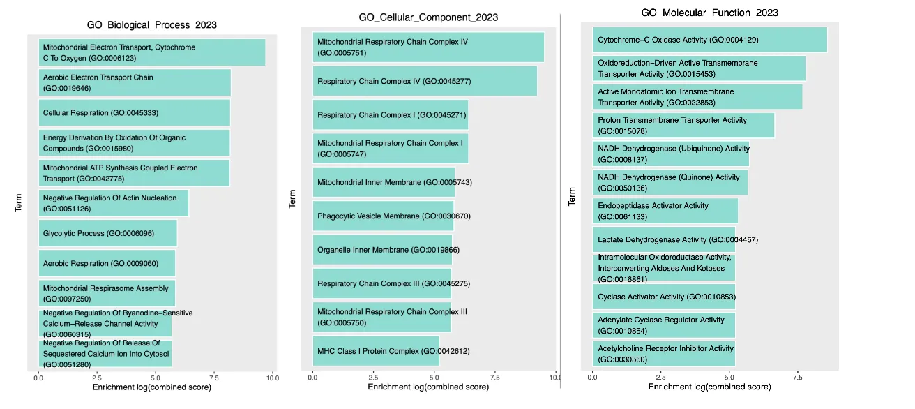 单细胞实战之单细胞hdWGCNA分析——入门到进阶(高级篇3）-腾讯云开发者社区-腾讯云