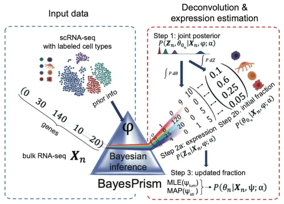 单细胞实战之Scissor和BayesPrism映射——入门到进阶(初级篇4）-腾讯云开发者社区-腾讯云