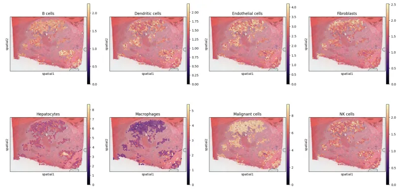 空间单细胞转录组cell2location分析流程学习-腾讯云开发者社区-腾讯云