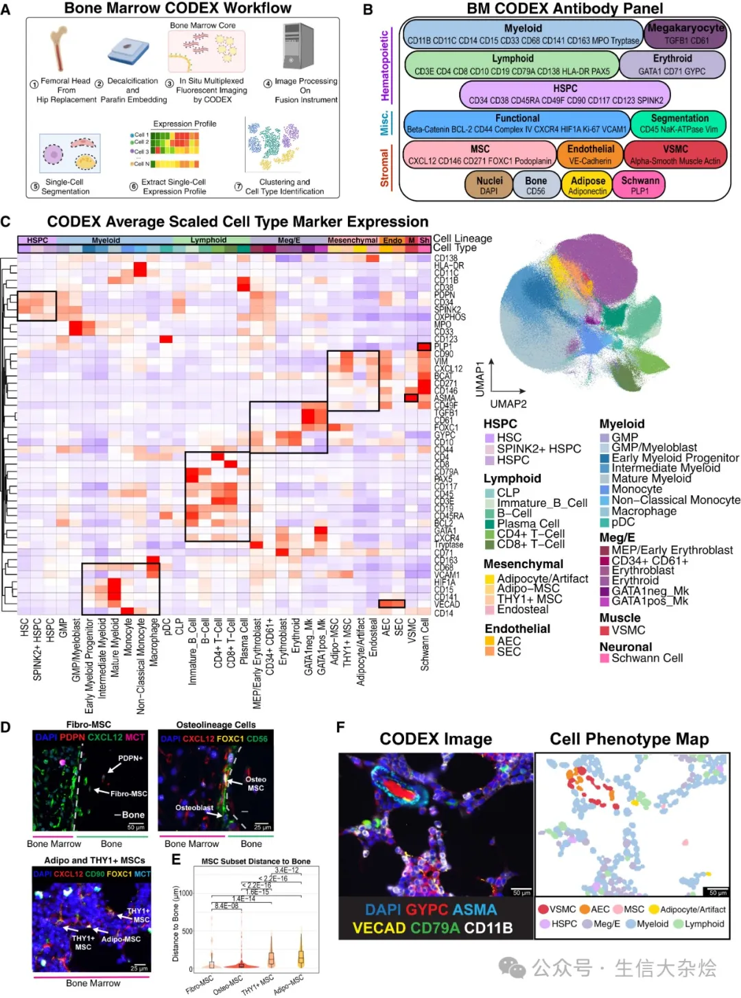 经典的文章要反复读--单细胞测序和CODEX绘制人骨髓的组成和空间结构-腾讯云开发者社区-腾讯云