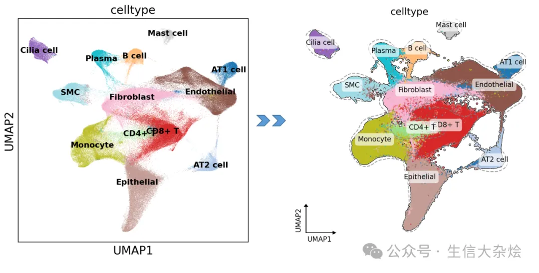 Scanpy可视化技巧--UMAP图优化-腾讯云开发者社区-腾讯云