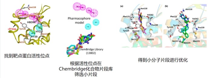 AbMole|ChemBridge化合物片段库 让新药研发插上高飞的翅膀-腾讯云开发者社区-腾讯云