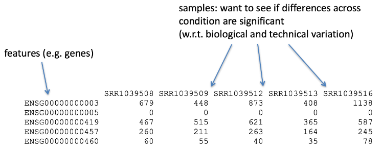 RNA-seq 详细教程：count 数据探索（4）-腾讯云开发者社区-腾讯云