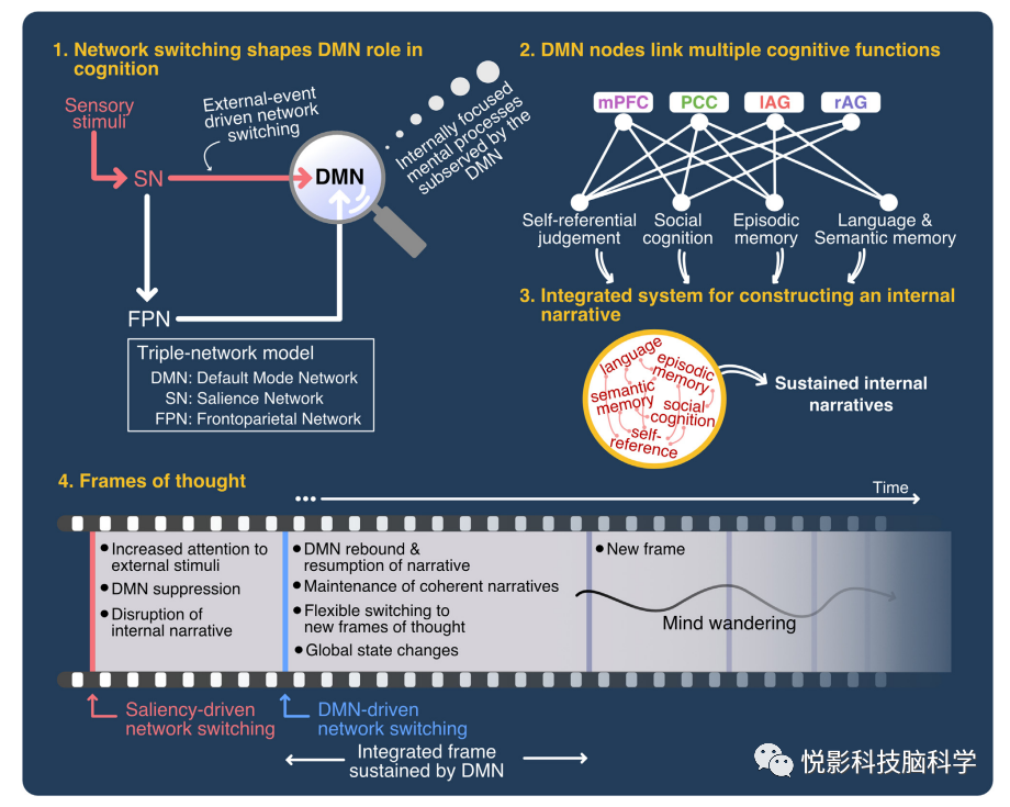 Neuron重磅综述|默认模式网络20年：回顾与综述-腾讯云开发者社区-腾讯云