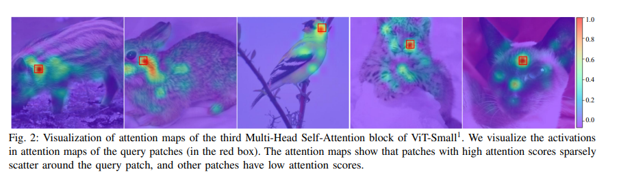 [yolov11改进系列]基于yolov11引入多尺度空洞注意力MSDA的python源码+训练源码-腾讯云开发者社区-腾讯云