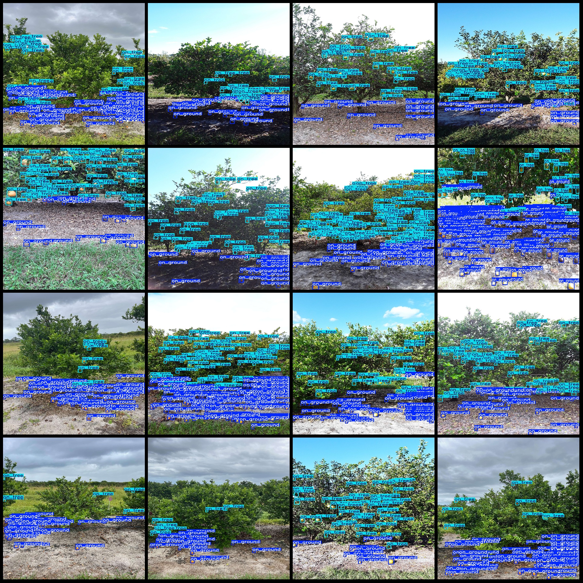 基于yolov11的树上地下柑橘橘子检测系统python源码+pytorch模型+评估指标曲线+精美GUI界面-腾讯云开发者社区-腾讯云