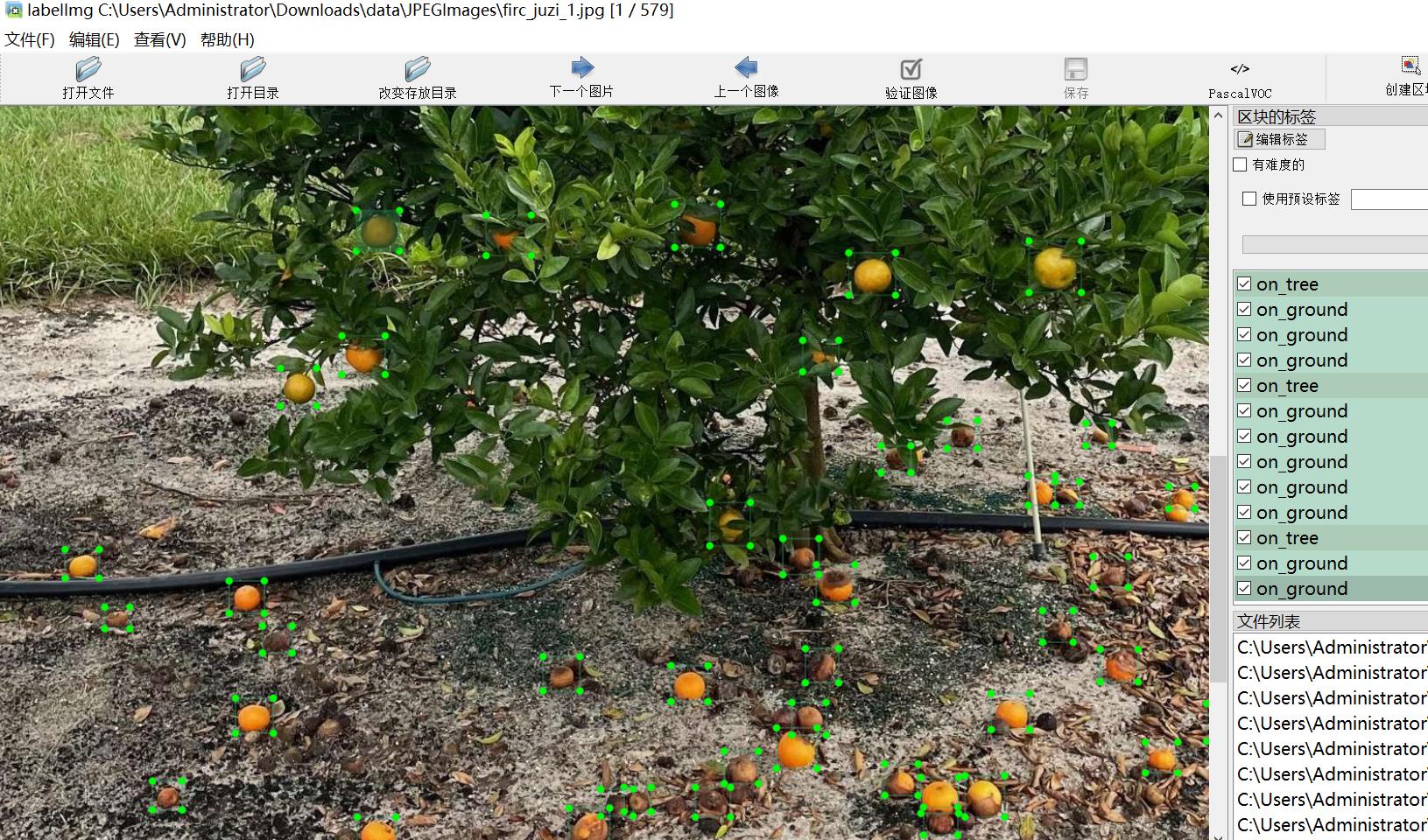 基于yolov11的树上地下柑橘橘子检测系统python源码+pytorch模型+评估指标曲线+精美GUI界面-腾讯云开发者社区-腾讯云
