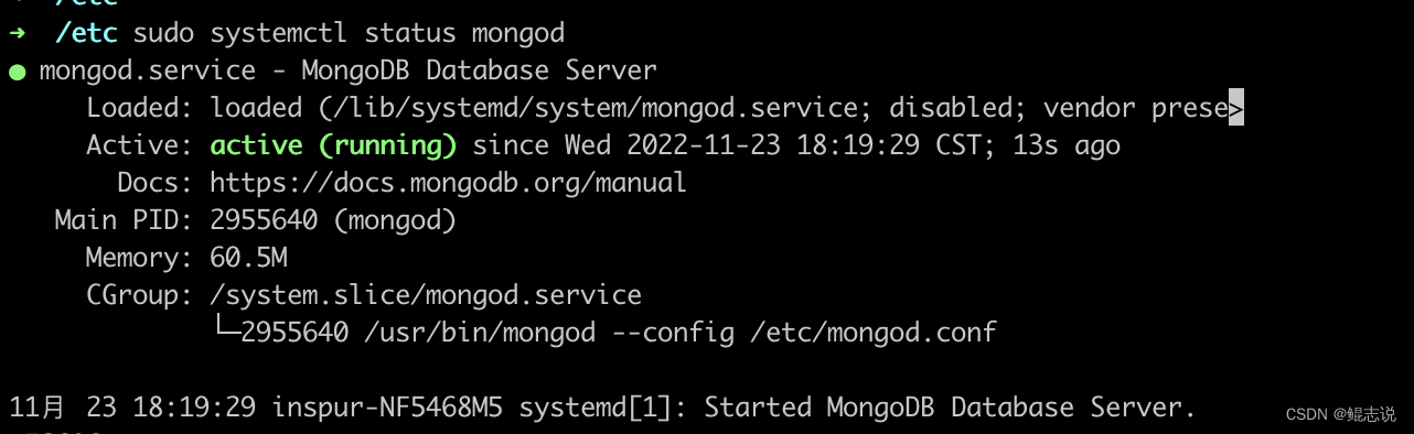 Linux服务器安装部署最新稳定版本mongoDB社区版- Ubuntu-20.04版本-腾讯云开发者社区-腾讯云