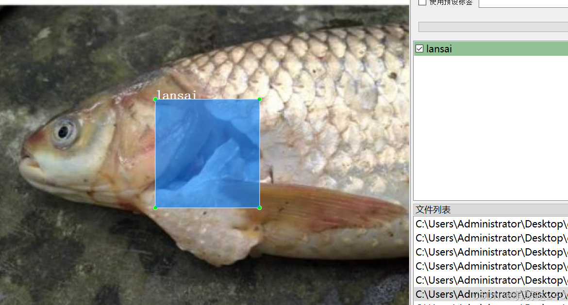 基于yolov11的鱼病害检测系统python源码+pytorch模型+评估指标曲线+精美GUI界面-腾讯云开发者社区-腾讯云