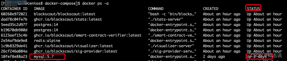 Docker - Docker安装MySql并启动-腾讯云开发者社区-腾讯云