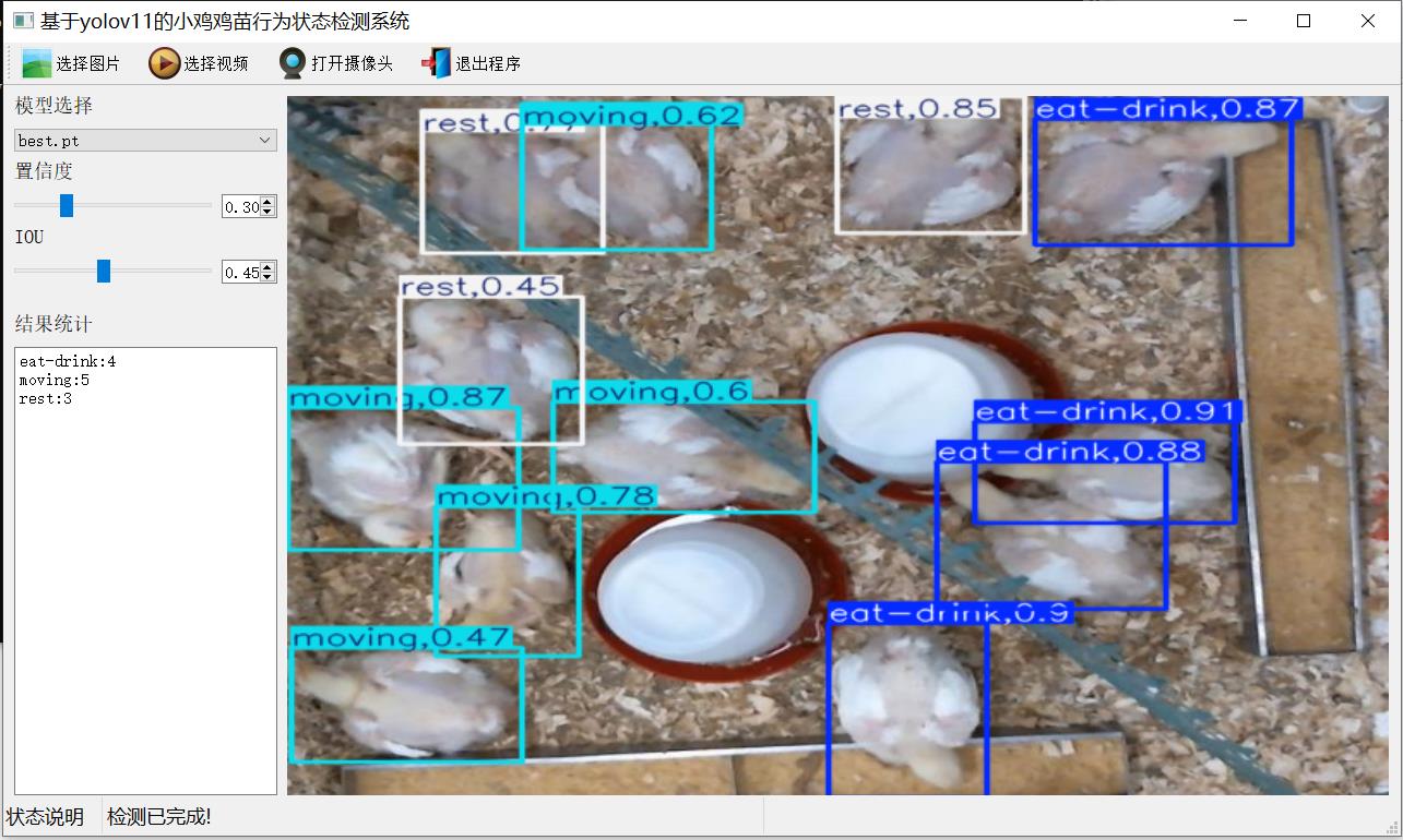 基于yolov11的小鸡鸡苗行为状态检测系统python源码+pytorch模型+评估指标曲线+精美GUI界面-腾讯云开发者社区-腾讯云