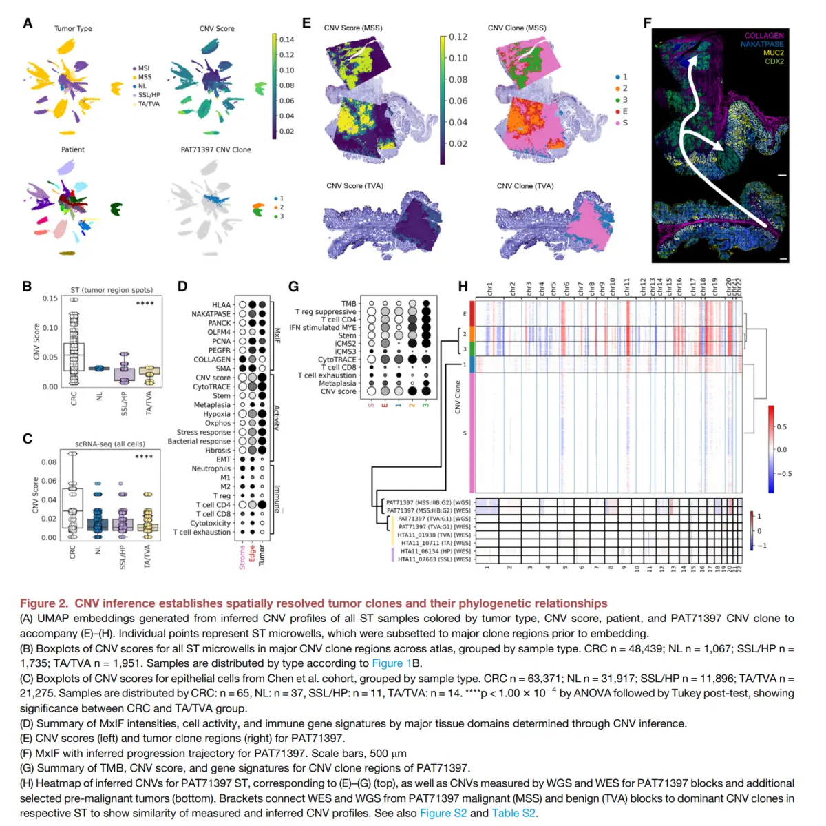 10X单细胞、空间、WES测序分析揭示肿瘤微环境进化区域异质性-腾讯云开发者社区-腾讯云