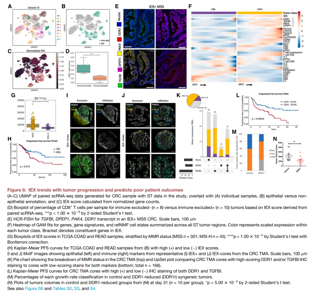 10X单细胞、空间、WES测序分析揭示肿瘤微环境进化区域异质性-腾讯云开发者社区-腾讯云