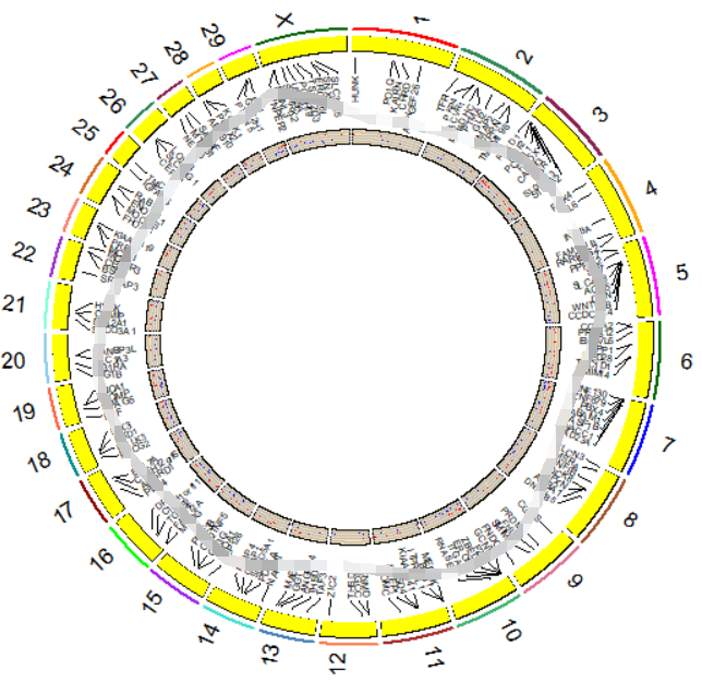 利用RCircos包对非模式动物差异表达基因的染色体位置进行可视化分析-腾讯云开发者社区-腾讯云