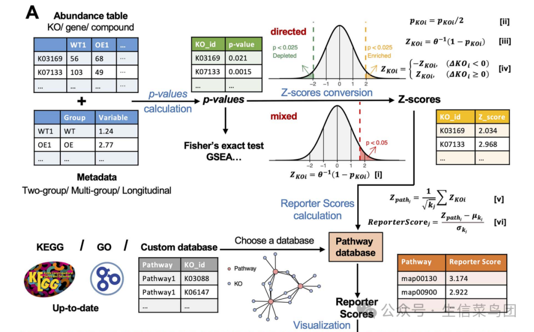 GRSA富集：可视化天花板你值得拥有-腾讯云开发者社区-腾讯云