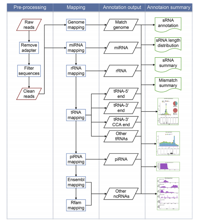 sRNA注释pipeline介绍：sports1.1-腾讯云开发者社区-腾讯云