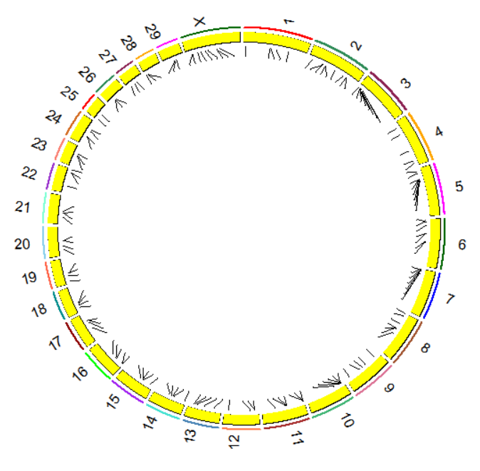利用RCircos包对非模式动物差异表达基因的染色体位置进行可视化分析-腾讯云开发者社区-腾讯云