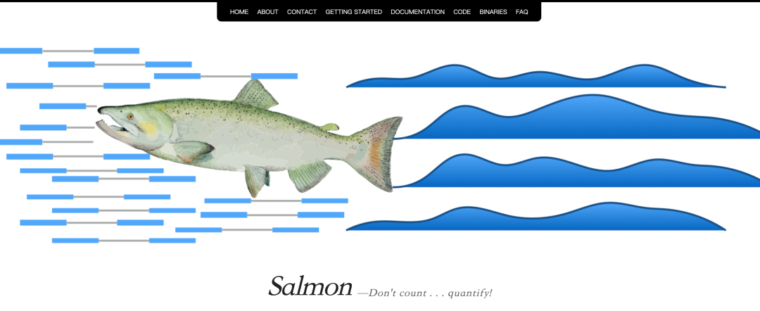 Salmon — 兼具高效、精准及偏差感知的RNA-seq定量工具-腾讯云开发者社区-腾讯云