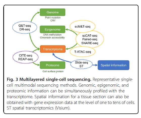 如何区分smart-seq2和10X的技术及Ab-Seq和WTA两种矩阵？-腾讯云开发者社区-腾讯云