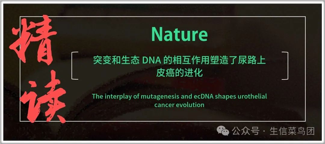 Nature ecDNA 系列 | ecDNA 如何促进癌症的进化-腾讯云开发者社区-腾讯云