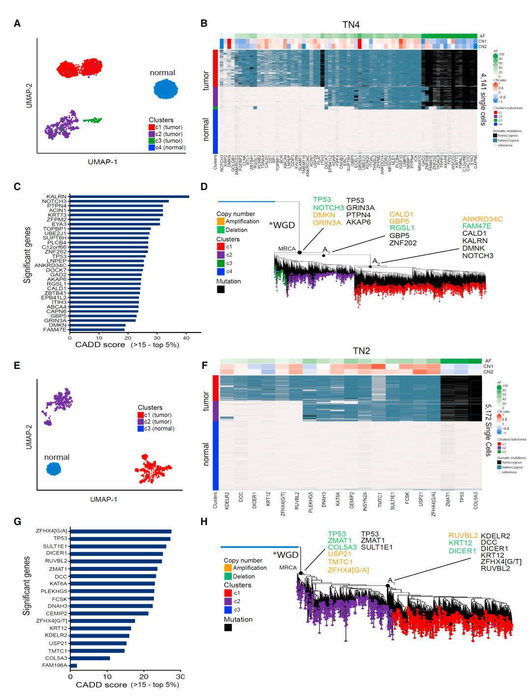 Bulk WES 和单细胞DNA测序重建肿瘤突变谱系-腾讯云开发者社区-腾讯云