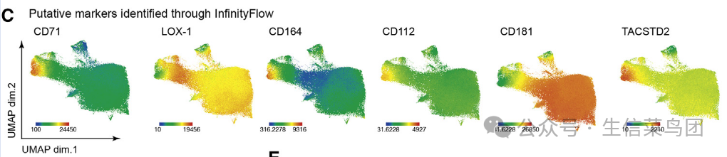【flowjo】流式笔记：UMAP图可视化-腾讯云开发者社区-腾讯云