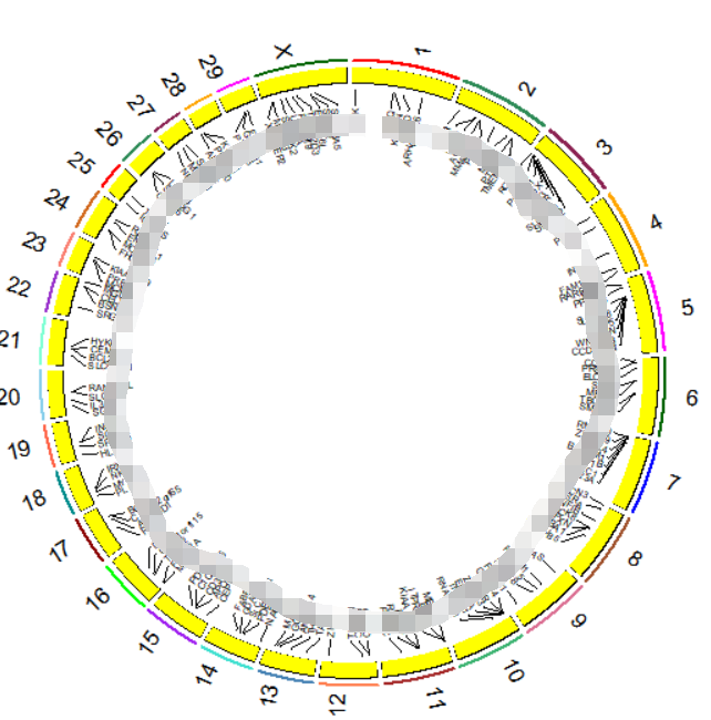 利用RCircos包对非模式动物差异表达基因的染色体位置进行可视化分析-腾讯云开发者社区-腾讯云