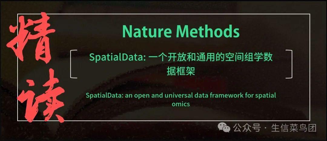 空间组学 | NatMethods | SpatialData: 一个开放和通用的空间组学数据框架-腾讯云开发者社区-腾讯云