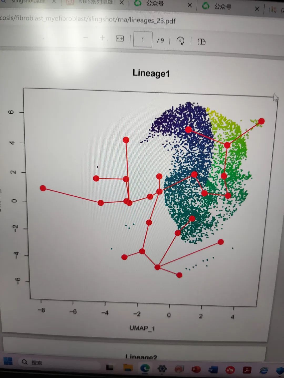 比monocle更快的slingshot-CNS高分文章常用-腾讯云开发者社区-腾讯云