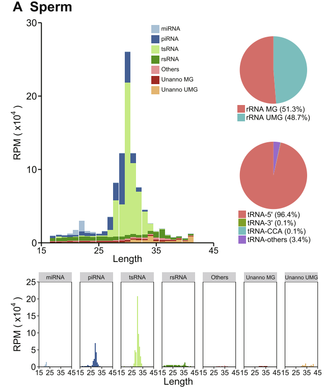 sRNA注释pipeline介绍：sports1.1-腾讯云开发者社区-腾讯云