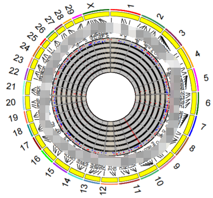利用RCircos包对非模式动物差异表达基因的染色体位置进行可视化分析-腾讯云开发者社区-腾讯云